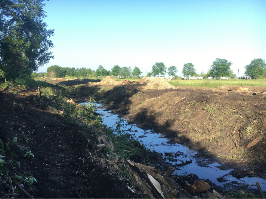 Rice Creek Watershed District Plan Update | Houston Engineering