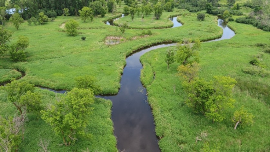 Rice Creek Watershed District Plan Update | Houston Engineering