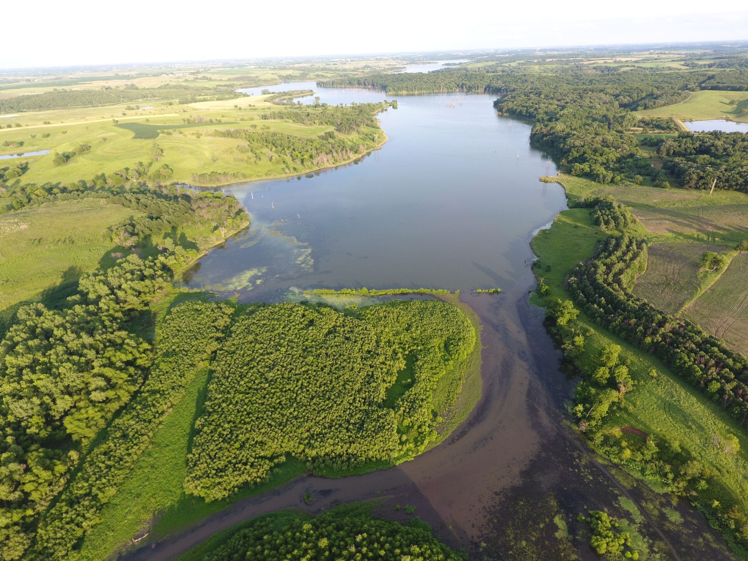 Ecological Services | Houston Engineering