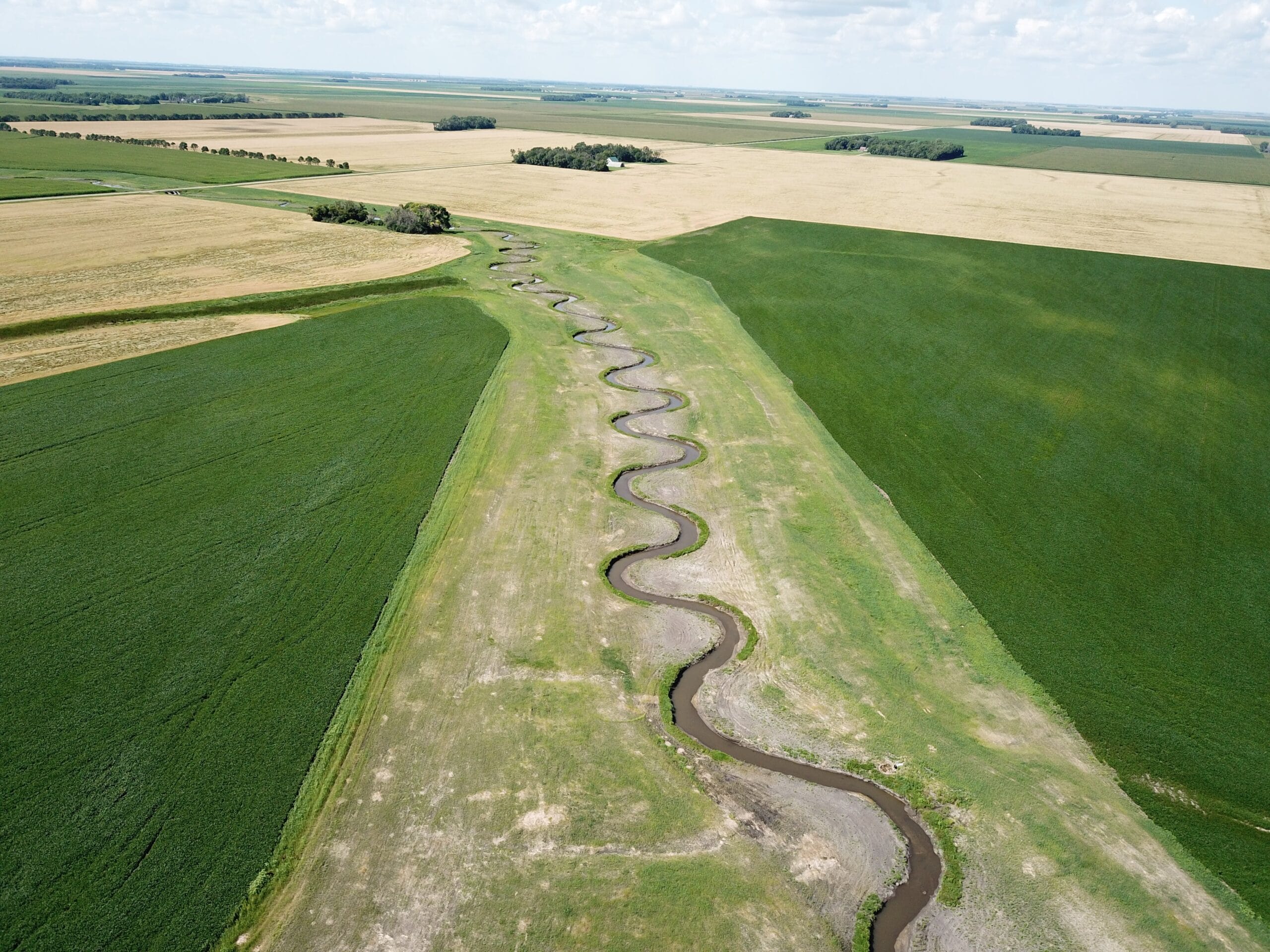 Ecological Services | Houston Engineering