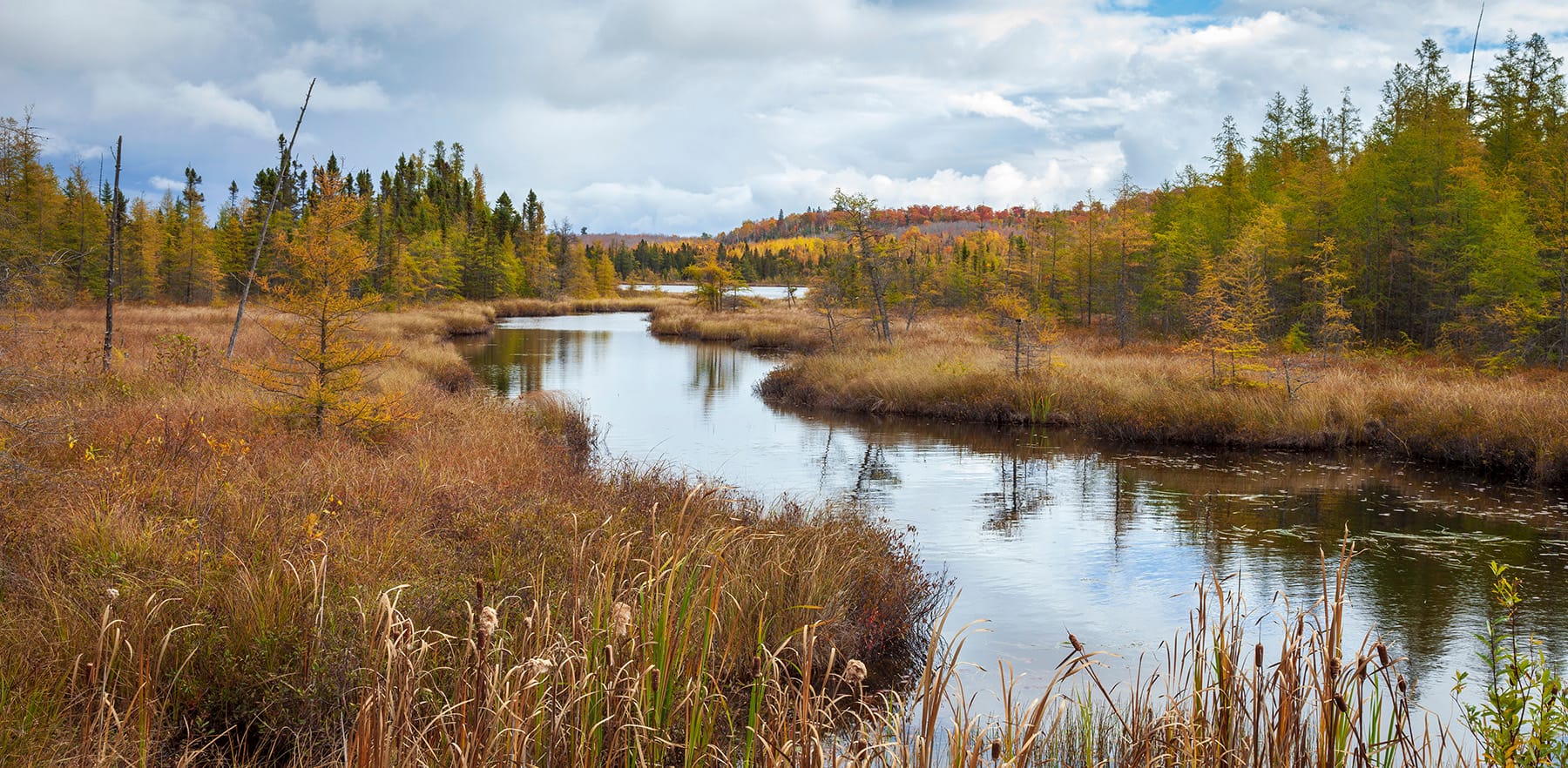 BEAST (Benefits Estimator And Summary Tool) | Upper Midwest Engineering ...